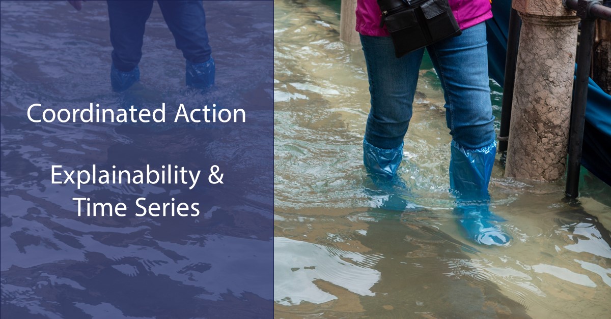 Explainability & Time Series Coordinated Action - TAILOR